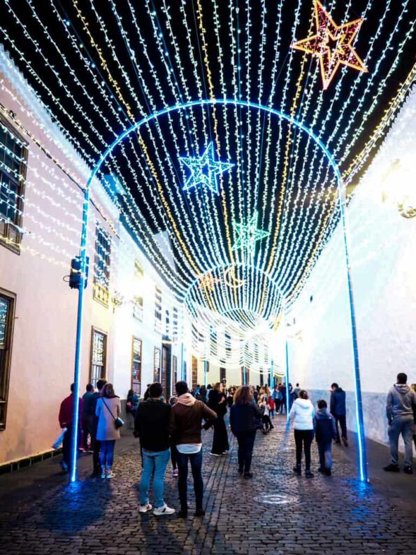 North Tenerife | Discovering The Real Tenerife