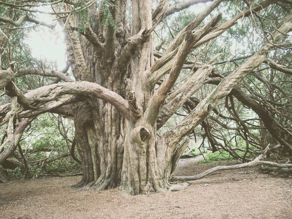 The 19 Best Hidden Gems In UK | Secret Spots Of The UK